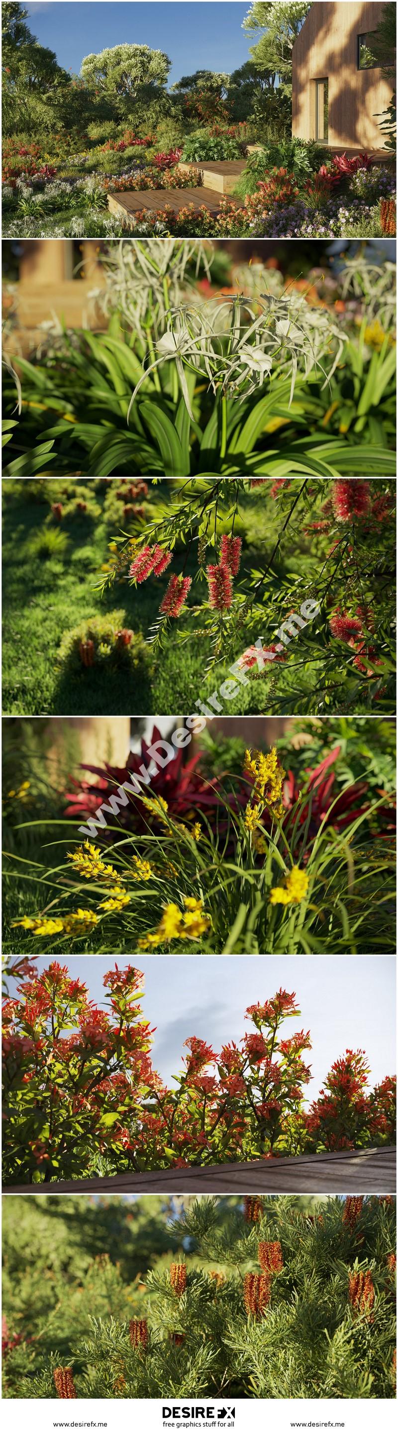 Desire FX 3d models | Maxtree – Plant Models Vol. 44