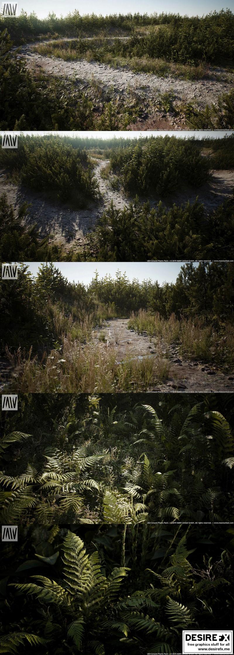 Desire FX 3d models | Unreal Engine – Interactive Foliage Pack