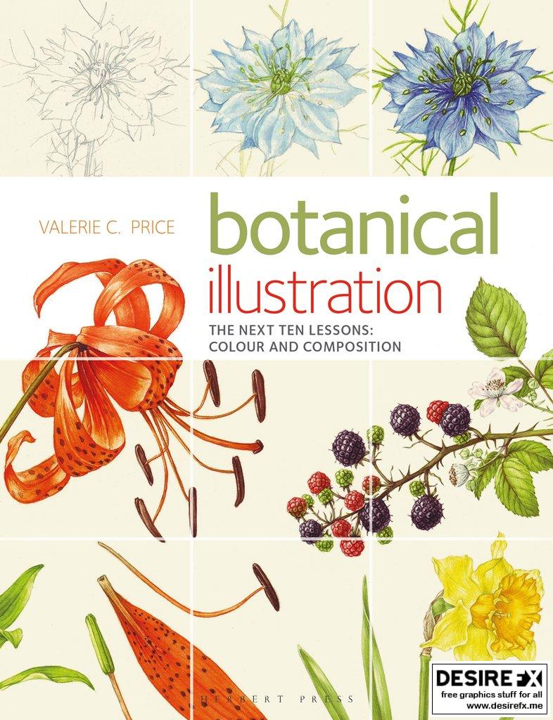 Desire FX 3d models | Botanical Illustration – The Next Ten Lessons ...