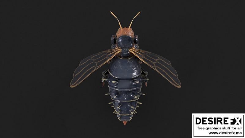 Desire FX 3d models | Bee Armor