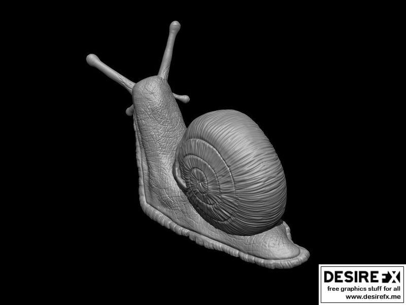 Desire FX 3d models | Skull Snail 3D print model